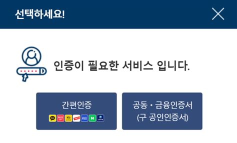 여권 발급 신청 온라인 신청 방법신규발급재발급갱신의 차이 네이버 블로그