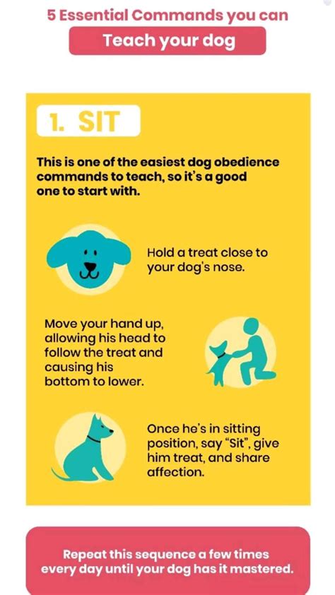 First Time Dog Owners Guide Checklist Tips Artofit