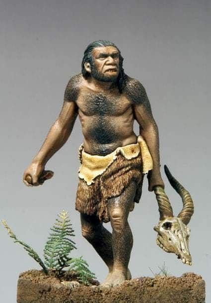 Complete Neanderthal Genome Sequenced