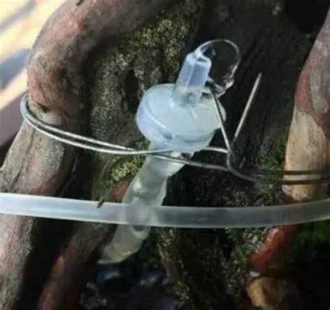 简易自动浇水装置 自动浇水装置 盆栽自动浇水装置 大山谷图库