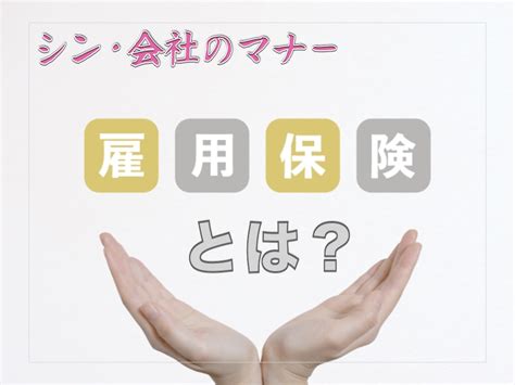 雇用保険の適用事業所とは？｜適用事業所の条件を解説【シン・会社のマナー】 サライjp｜小学館の雑誌『サライ』公式サイト