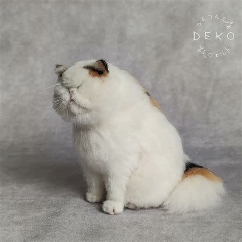 Babicka Babickabb Twitter