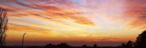 Artstation Alex Barley