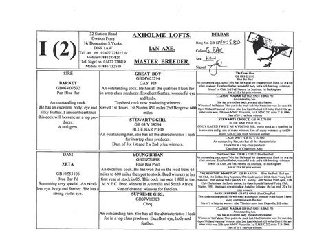 Lot 044 Who Dares Wins International Olr