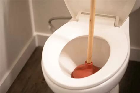 Why Is My Toilet Not Flushing Properly Understanding Common Reasons