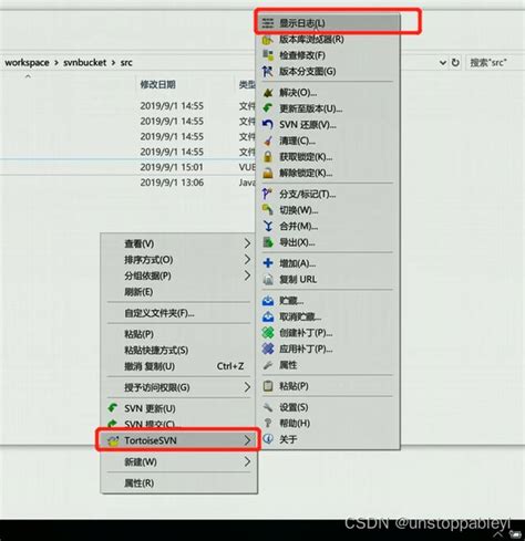 svn使用详细步骤 csdn博客