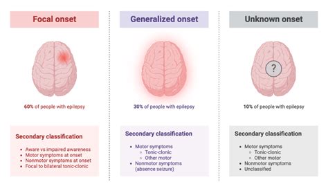Seizure Classification In Epilepsy Biorender Science Templates