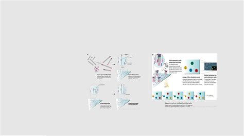 二三代测序技术的介绍和比较ppt课件pptx一代测序资源 Csdn文库 资源 Csdn文库