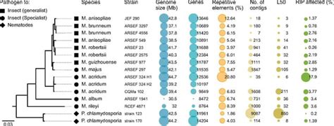 Any Ideas On How To Replicate This Kind Of Grid Chart Rdatavisualization
