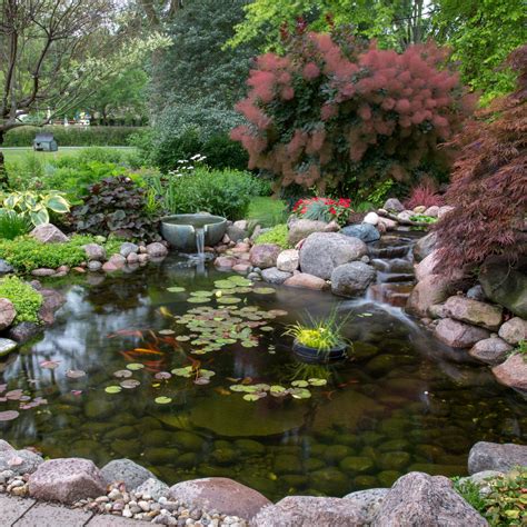 Aquascape Medium Pond Kit 11 X 16 With 3 Pl 3000 Pond Pump Wayfair