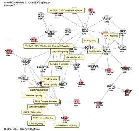 Results Hepg2 Genes Affected By Mercury Exposure Download Scientific Diagram