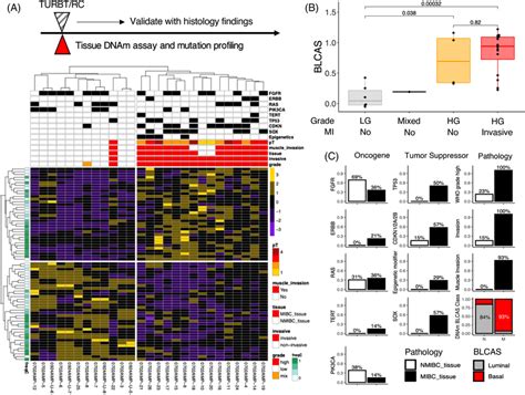 Selective Driver And Tissue‐of‐origin Dna Methylation Signature