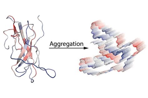 Tmem106b The New Protein On The Block