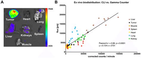 Ex Vivo Biodistribution A Example Of An Ex Vivo Cli Biodistribution