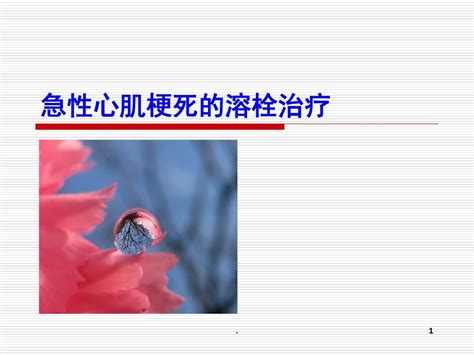 Ppt Word