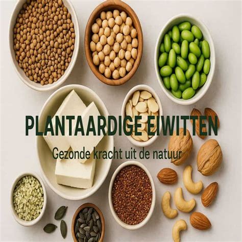 Plantaardige Eiwitten Hart In Shape
