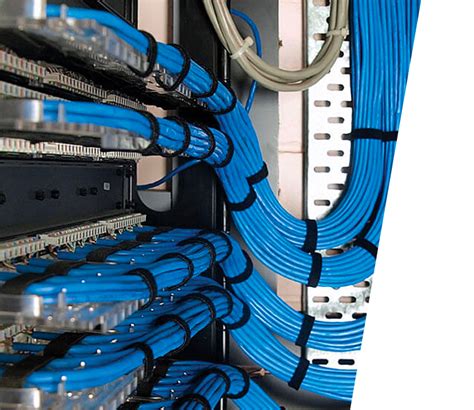 Structured Cabling Amped Security