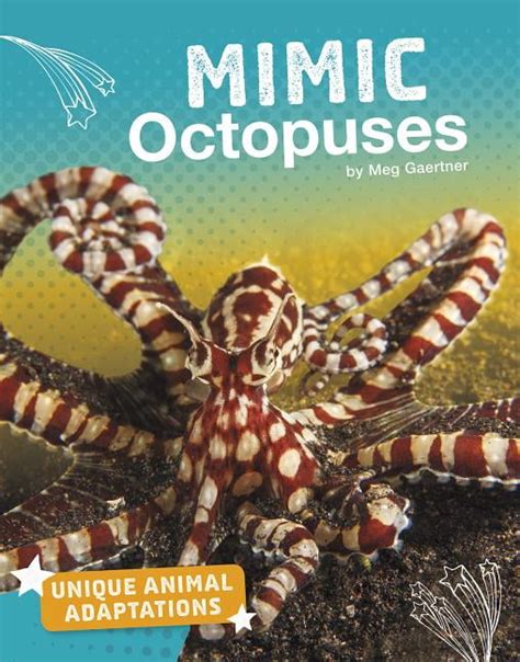 Unique Animal Adaptations Mimic Octopuses Hardcover