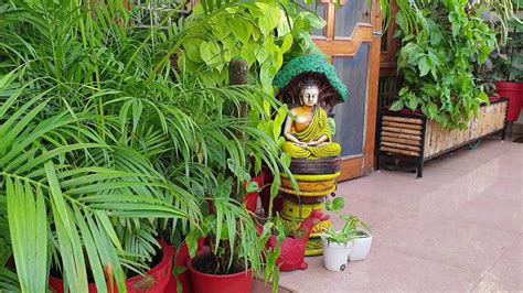 Gardening Tips For Beginners Garden 101 For Beginners Fun