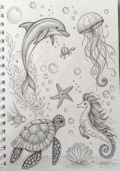 Marine Biology Drawings