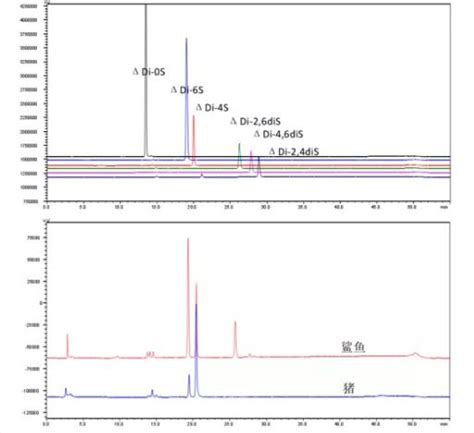 硫酸软骨素关键质量控制及结构指标：二糖组成（ii）