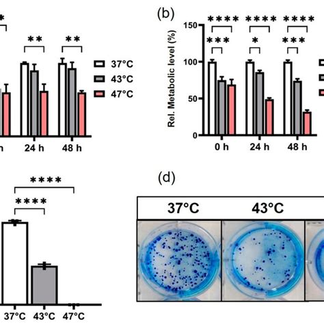 Strong Hyperthermia 47 °c 1 H Exerted The Highest Cytotoxic Impact