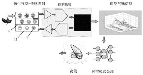 Bionic Detection Device And Method For Electronic Nose Time Space Smell
