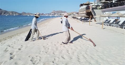 Zofemat Los Cabos Mantiene De Manera Permanente Acciones De Limpieza En