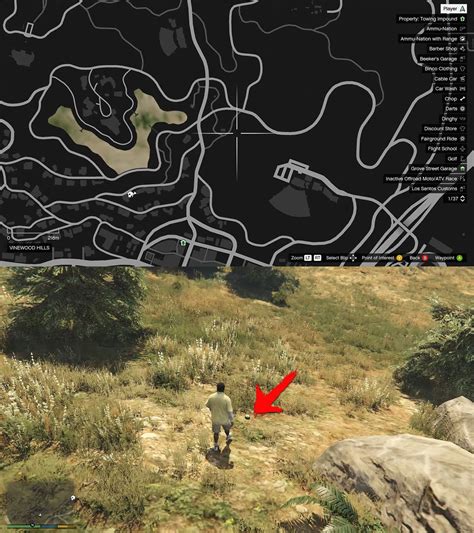 Gta Bigfoot Map