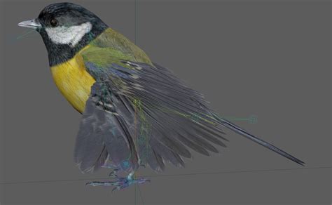 3d Model Great Tit Bird Turbosquid 2236324