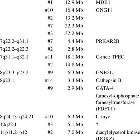 Genomic Amplifications And Candidate Genes Detected By Microarray Download Scientific Diagram