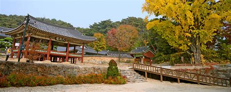 스토리 매거진 여행정보 서울 근교의 가을여행 명소 경기 여주 디지털 Kbs