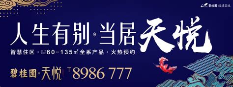 福安碧桂园天悦 户型图 第2页 大山谷图库