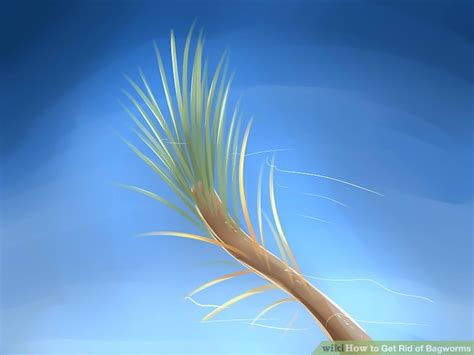 How To Get Rid Of Bagworms 14 Steps With Pictures Wikihow