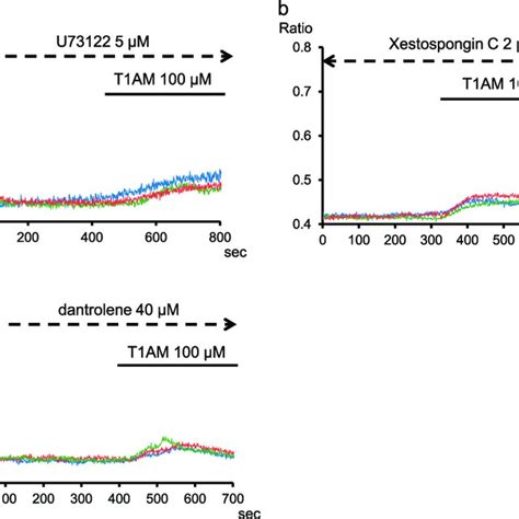 A Role For The Mobilization Of Ca 2 From Intracellular Ca 2 Stores In