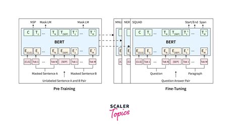 Text Similarity In Nlp Scaler Topics
