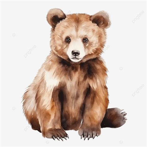수채화로 그린 귀여운 갈색 회색곰 그리즐리 곰 귀엽다 Png 일러스트 및 이미지 에 대한 무료 다운로드 Pngtree
