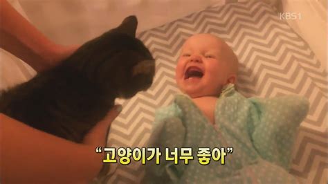 Kbs 뉴스