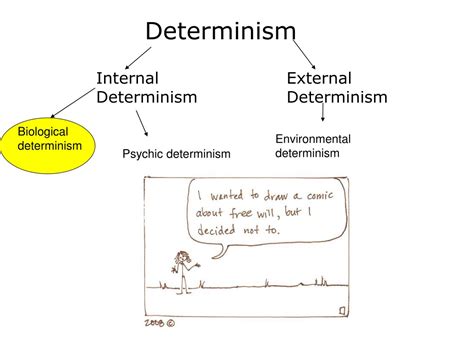 PPT Exploring Psychology Debates Determinism Scientific Approach
