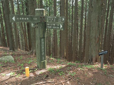 三重県 大洞山 MORITOの冒険紀行