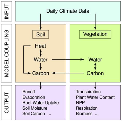 Diagram Showing The Structure Of The Model The Processing Sequence And