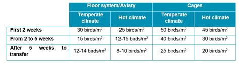 How To Manage A Layer Flock For A Longer Production Cycle
