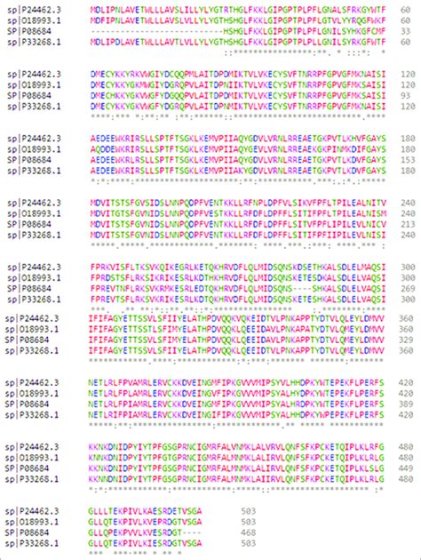 Multiple Sequence Alignment Of The Taken Sequences And Cyp3a4 P08684 Download Scientific