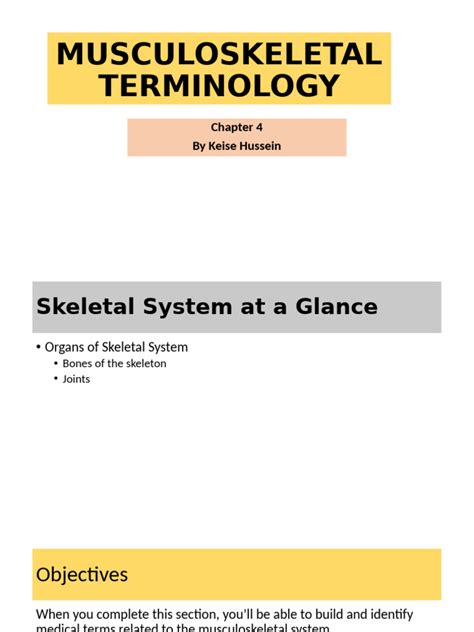 Chapter 4 Muscle Skelatal System Terminology Pdf Human Musculoskeletal System Bone