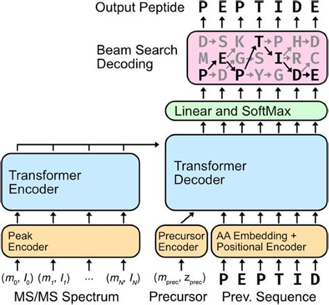 Melih Yılmaz On Linkedin Sequence To Sequence Translation From Mass