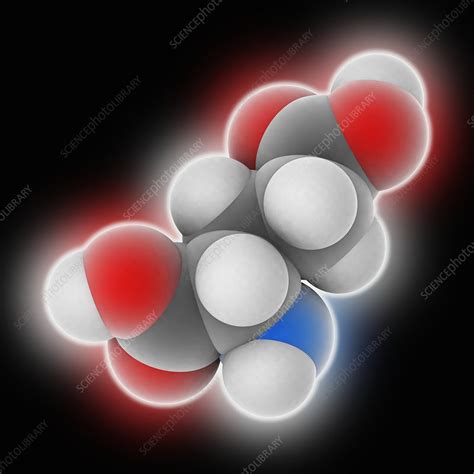 Glutamic Acid Molecule Stock Image C0257459 Science Photo Library