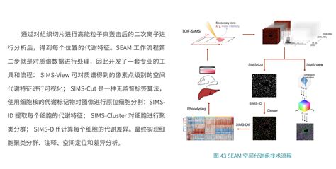 SEAM 空间代谢组 科研服务 北京博奥晶典生物技术有限公司