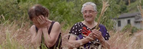 Tráiler Bosco 2020 Ecartelera