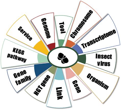 Main Modules Of Insectbase 20 It Provides Information About An