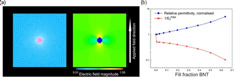 a finite element model for high permittivity inclusion with an aspect